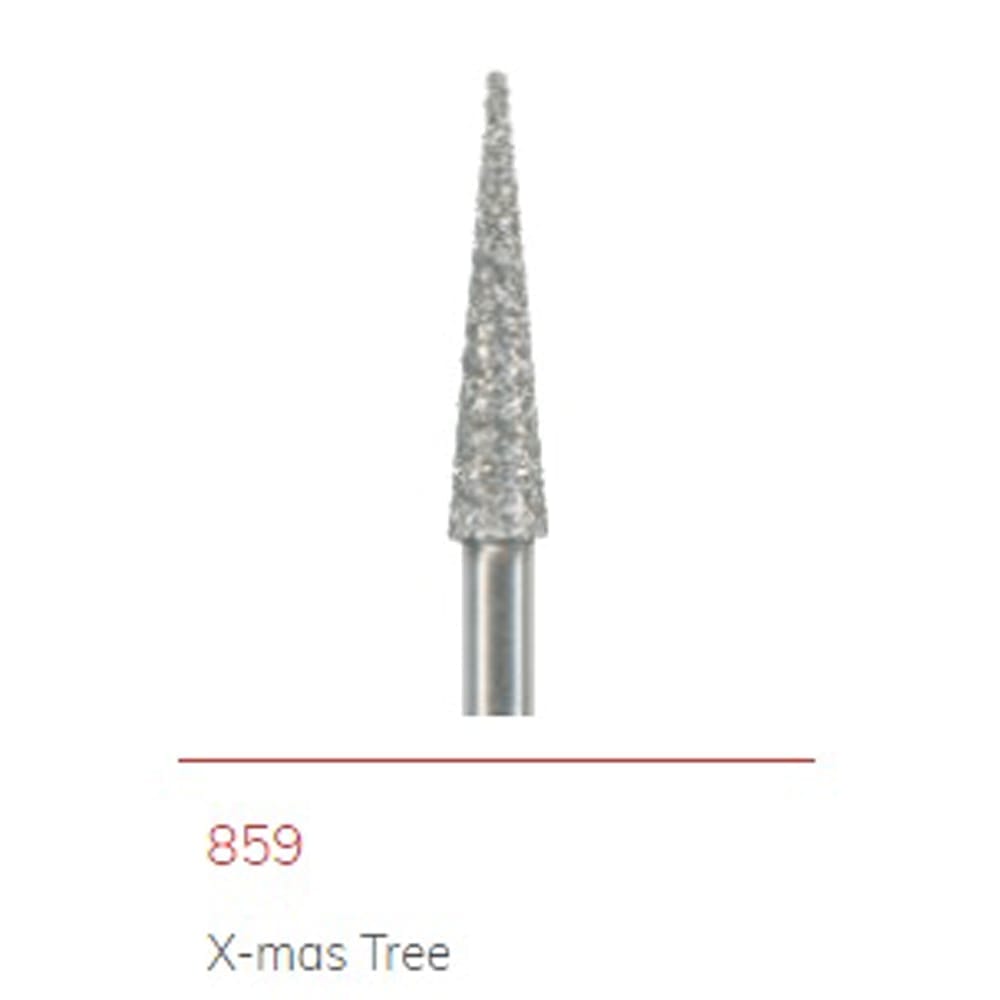 NTI Diamond Bur FG Needle 859 - Pack 5